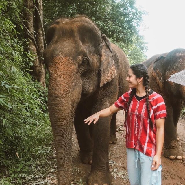 Private Day Trip Doi Inthanon, Trekking, Elephant Sanctuary - FAQs