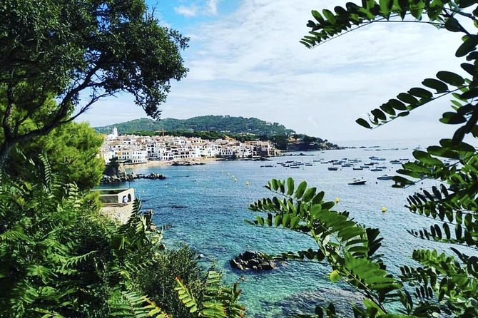 Private Girona Tour, Costa Brava Beach & Seaside Lunch Experience - Who Should Book This Tour?