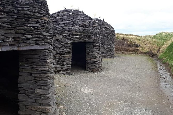 Ring of Kerry & Skellig Ring - Private Tour - Analyzing the Cost and Value