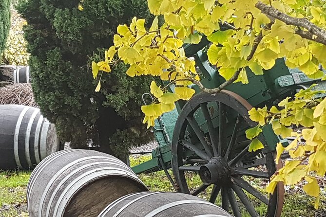 Rome Countryside Delights: Exclusive Wine Tasting Tour - The Sum Up