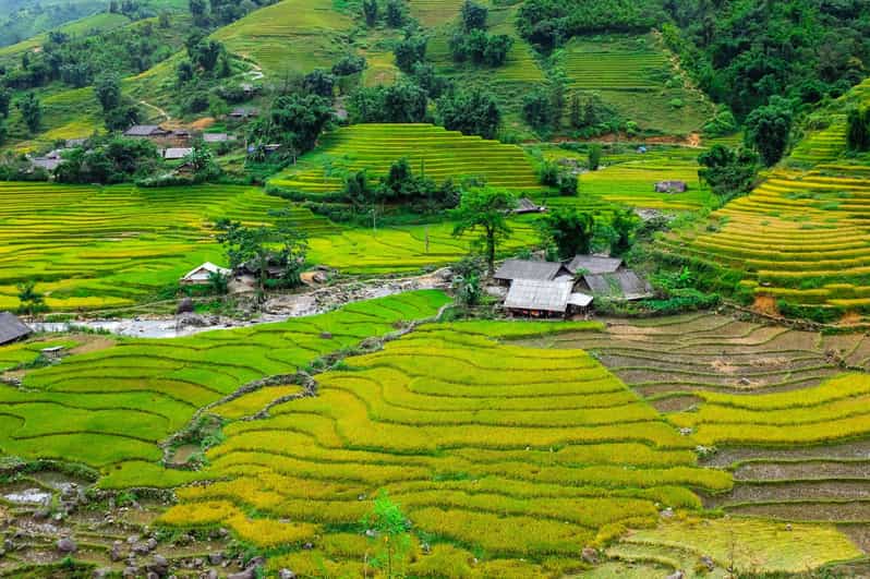 Sapa beautiful rice field, village - Easy walking kid,senior - Pricing and Value