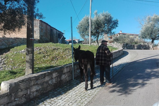 Schist Villages of Lousã, full-day from Coimbra - Practical Details
