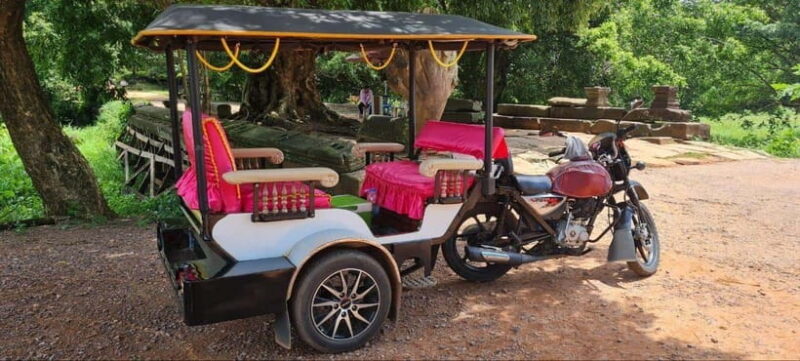 Siem Reap: Angkor Temples Tour by a Private Tuk Tuk - Why the Tuk-Tuk Matters