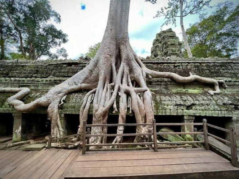 Siem Reap: Angkor Wat Admission Ticket - FAQ: Your Practical Questions Answered