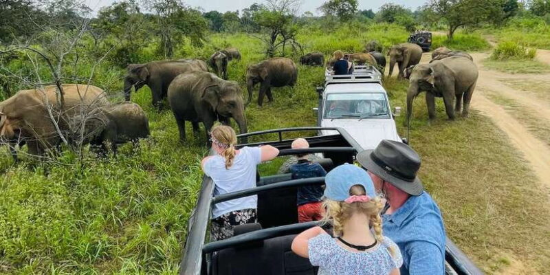 Sigiriya/Dambulla/Habarana: Minneriya National Park Safari - FAQ