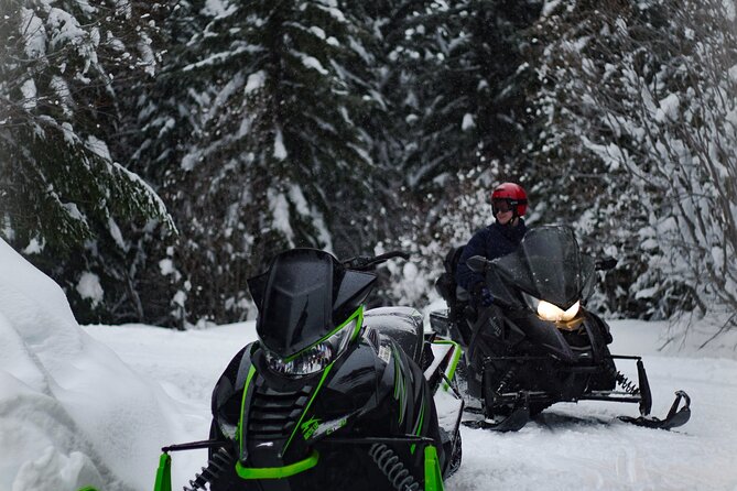 Ski & Snow Tour to Bakuriani from Kutaisi with Borjomi Stop - An Overview of the Day’s Journey