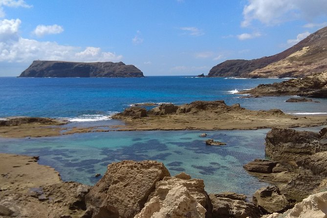 Snorkeling Tour - Authentic Wildlife Encounters and Why They Matter