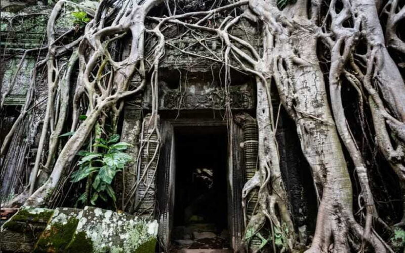 Sunrise at Angkor Wat and Small Tour with Tours Guide - FAQ