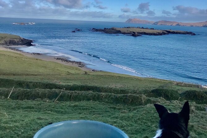 The Great Blasket Island Experience - Premium Tour - Practical Considerations
