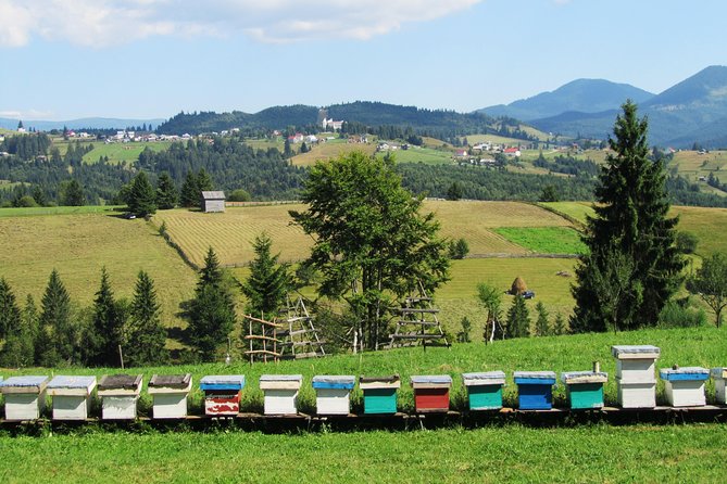 The wine route by bike - FAQ