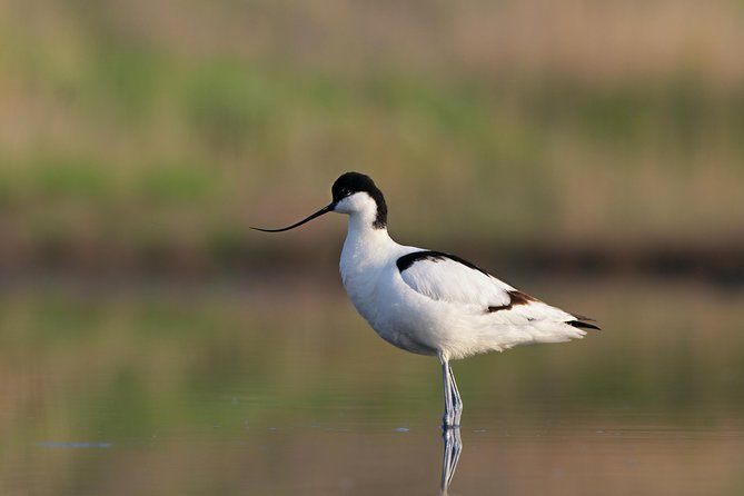 Tour in Paradise: Ria Formosa - Final Thoughts