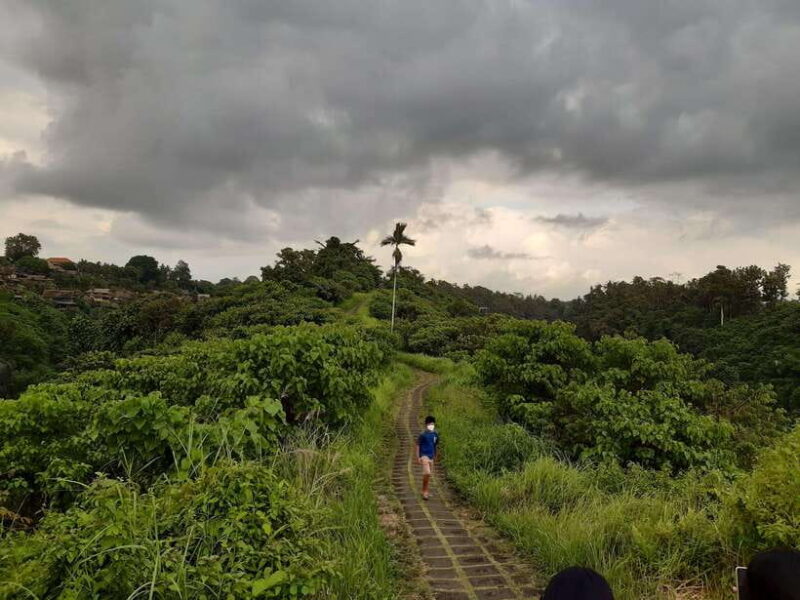 Ubud: Campuhan Ridge Walk, Tegallalang Rice Terrace & More - Authentic Experiences and Practical Details