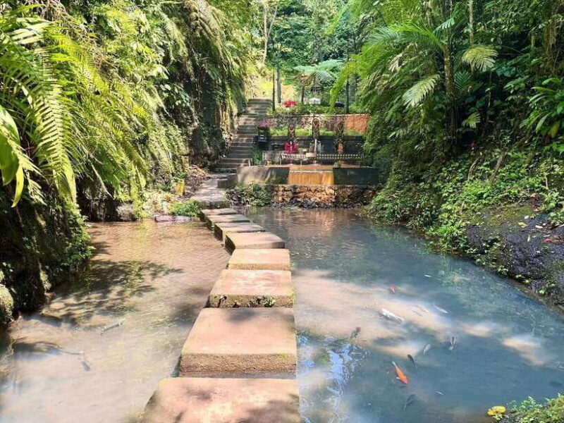 Ubud: Hidden Waterfall, Monkey Forest, Rice Terrace & Swing - Final Thoughts: Is It Worth It?