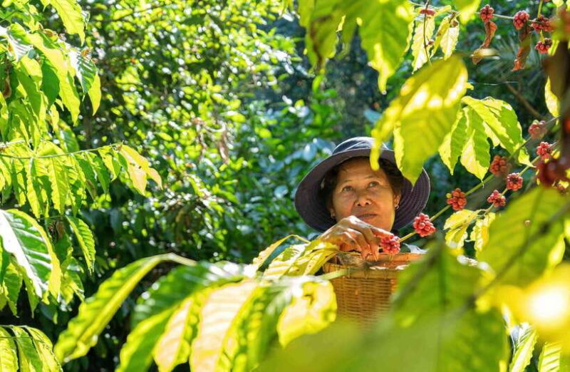 UBUD : Water Temples, Waterfalls, and Rice Terraces Tour - Authentic Experiences and Unique Perspectives