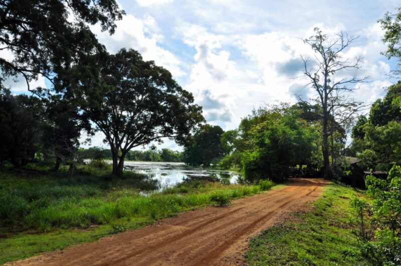 Udawalawa National Park: Private Safari - The Sum Up