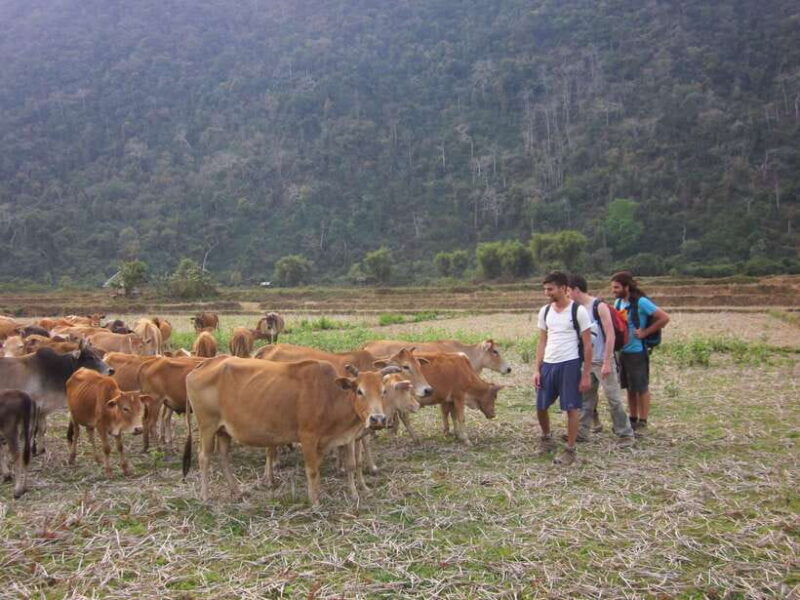 Vang Vieng: Jungle & Caves Full-Day Private Trekking Tour - Reaching the Mountain Ridge for Panoramic Views