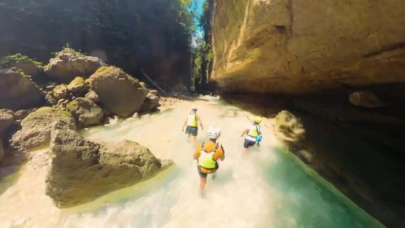 Whale Shark & Kawasan Canyoneering: Private & Joiner Tour - Final Thoughts