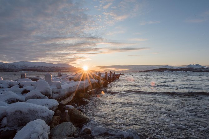Winter Fjord Road Trip with Citizen Science with Wandering Owl - FAQ