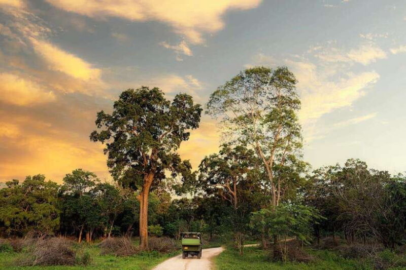 Yala National Park - All Inclusive Safari Day Tour - Frequently Asked Questions
