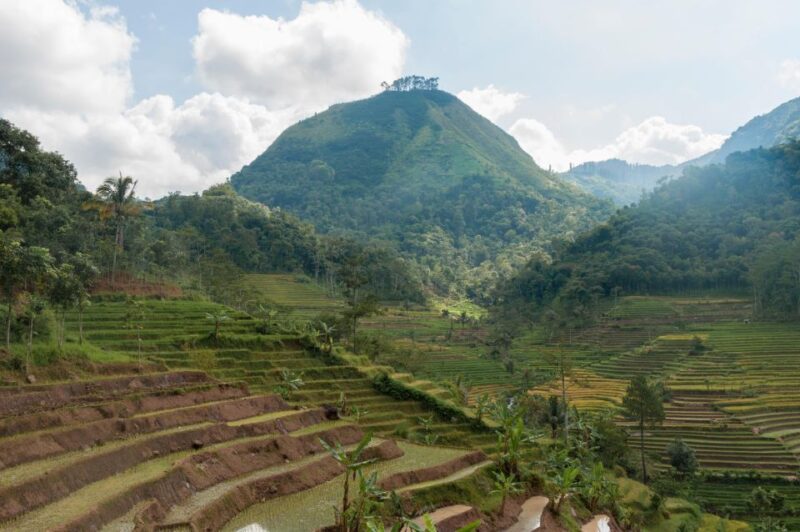 yogyakarta: Selogriyo, Marvel Amidst Java's Lush Terraces - FAQ