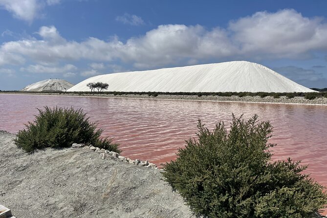 8 Hours Visit to the Camargue and the Salins dAigues-Mortes - Key Points