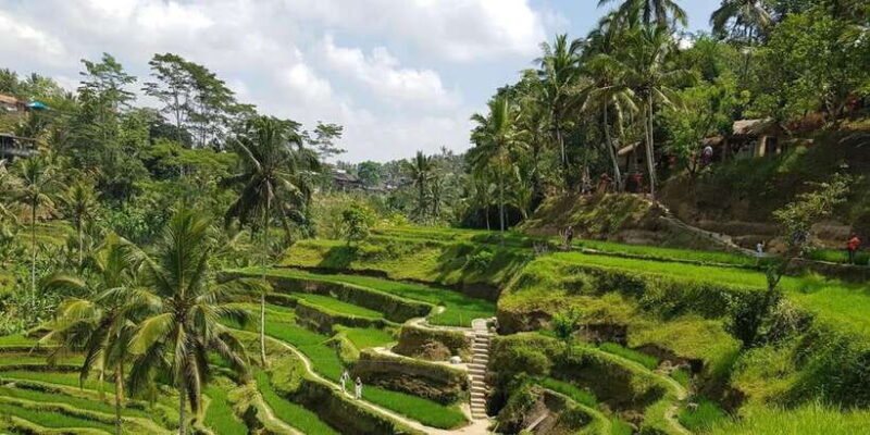 Bali Eat, Pray and Love Experience - Practical Details: Transport, Timing, and Group Size