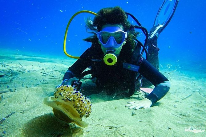 Beginner Diving Experience in Ligaria Bay - The Sum Up