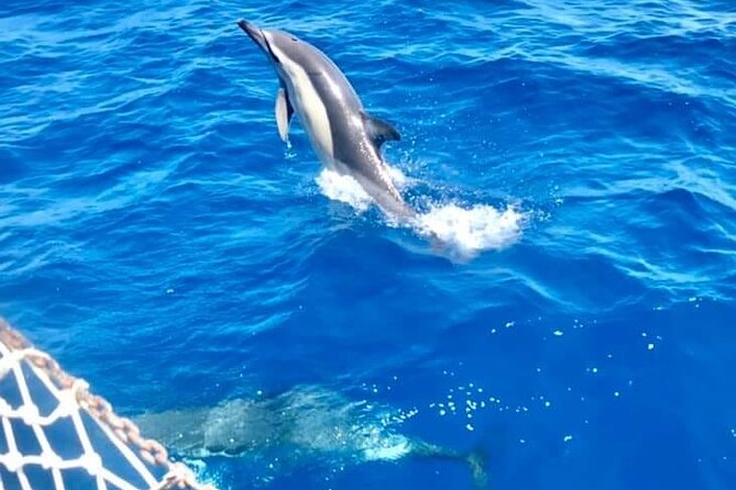 Boat Tour in Mondello Bay in Sicily - FAQ