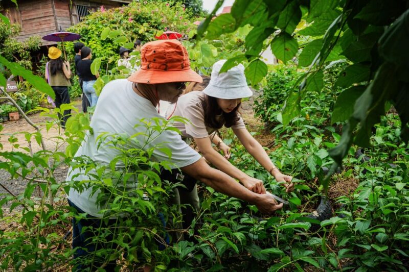 Chiang Mai: Tour of Craft Village at Ban Nam Ton - Final Thoughts