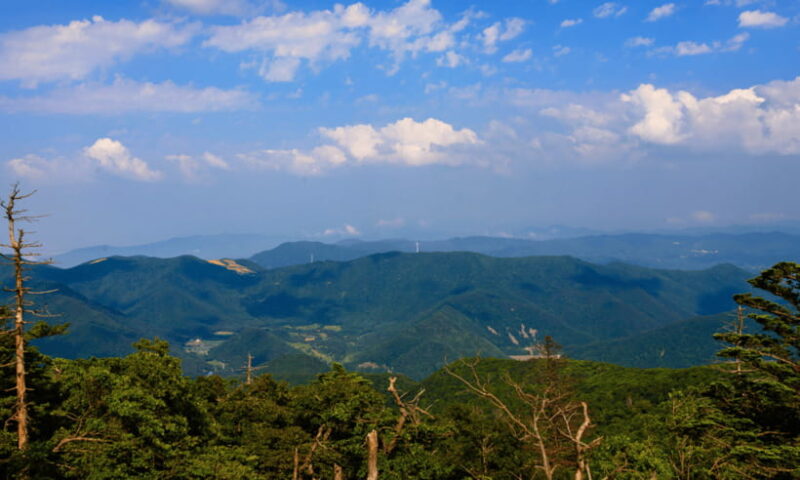 From Kuala Lumpur: Taman Negara National Park Private Tour - Final Thoughts