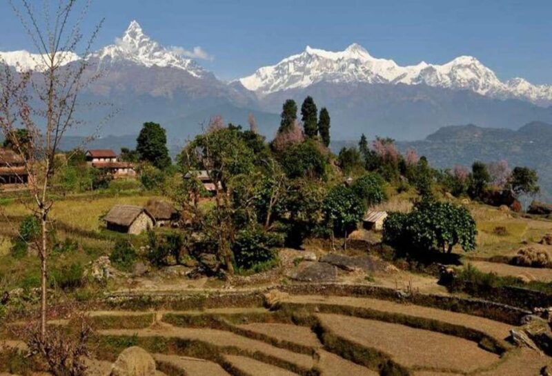 From Pokhara: Annapurna View Day Hike - FAQ