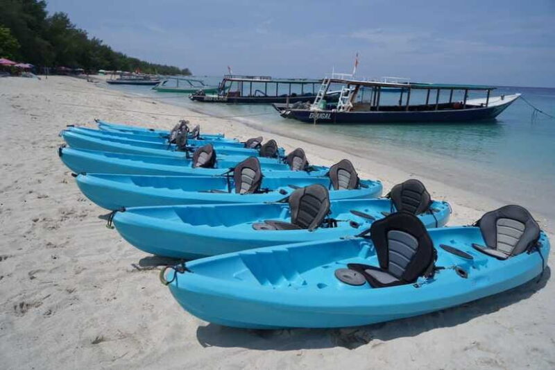 Gili Trawangan: Stand Up Paddleboard Lesson and Tour - Who Is This Tour Best For?