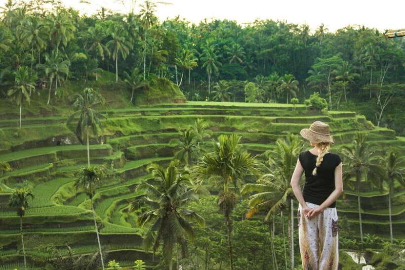 Heart of Ubud: Culture, Nature & Scenic Wonders - Who Should Consider This Tour?