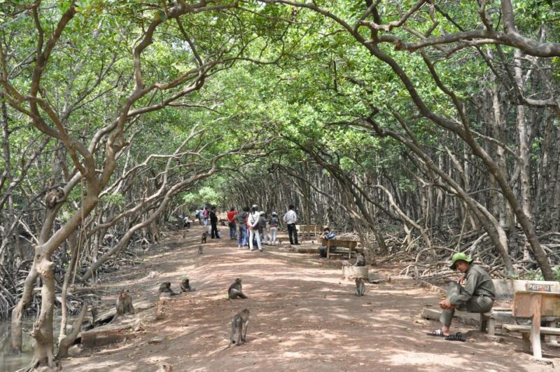 Ho Chi Minh: Private Can Gio Mangrove Forest 1 Day Tour - Who Will Love This Tour?