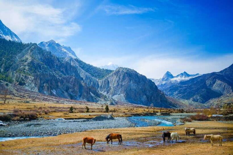 Jeep Trip to Upper Mustang - Frequently Asked Questions