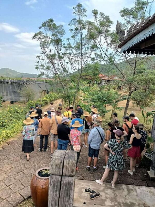 Kampot Countryside tour include Pepper farm by TukTuk - The Sum Up