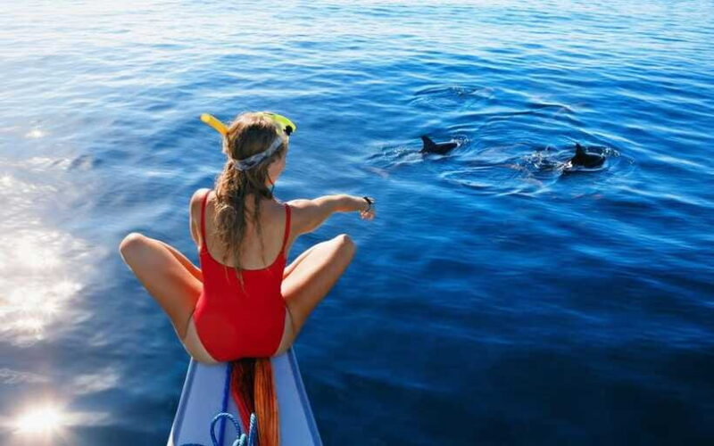 North Bali: Dolphin Watching and Snorkeling Tour - Detailed Breakdown of the Itinerary