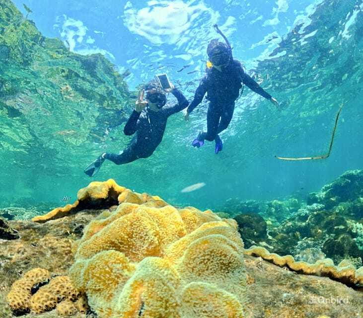 Phu Quoc Speedboat Pro Snorkeling: 4 Islands-2 Reefs & Meal - FAQ