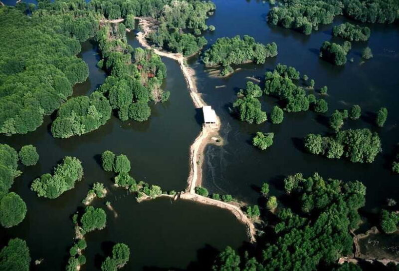 Private Can Gio Mangrove Biosphere Reserve Day Trip - Who Is This Tour Best Suited For?