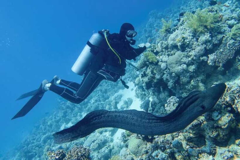Scuba Diving Refresher(3 dives) - FAQ