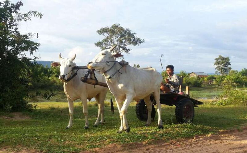Siem Reap: 6-Hour Easy Rider Motorbike Tour - Practical Details and Tips