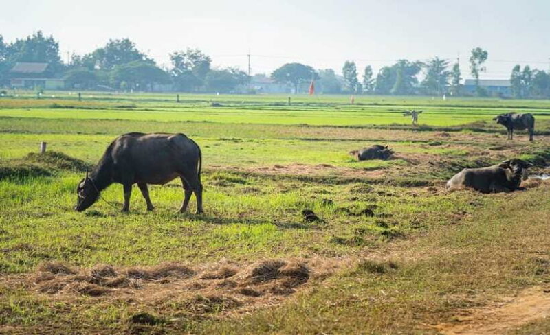 Siem Reap: Guided Countryside Bike Tour - The Experience of the Stops