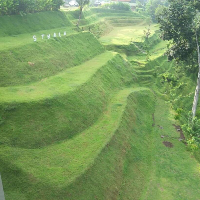 Ubud: Campuhan Ridge Walk, Tegallalang Rice Terrace & More - Authenticity and Insights from Travelers