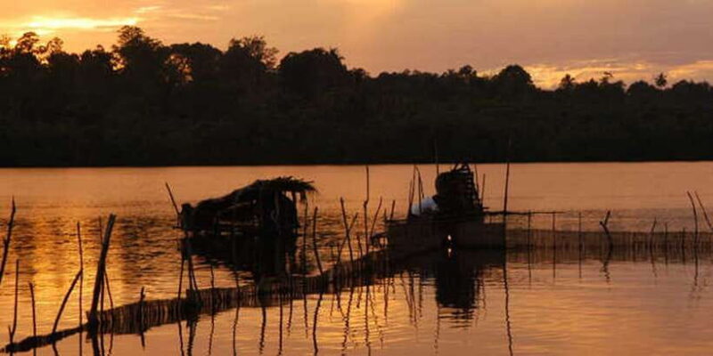 West coast Beach, River Mangroves lagoon, Wildlife boat Tour - FAQ