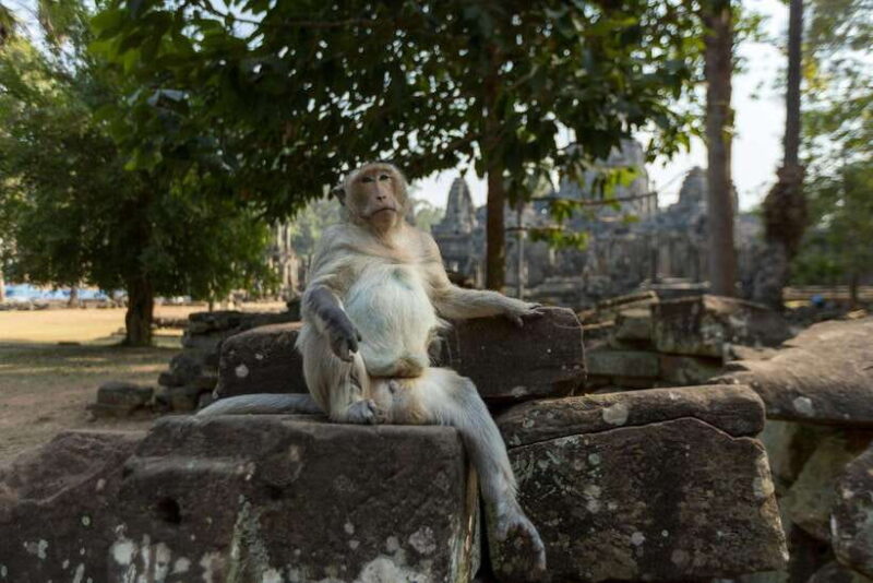 Angkor Zipline and Discover Highlight Angkor wat with Sunset - FAQ