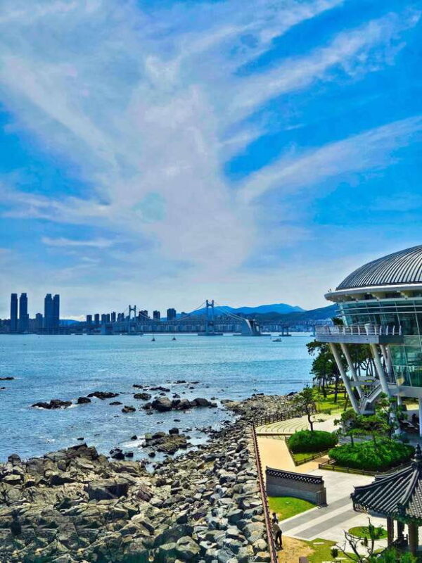 Busan: Haeundae 100-Minute Walking Tour - Final Thoughts