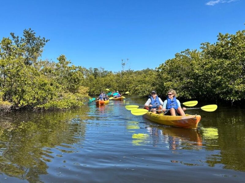 Robinson Preserve Mangrove Tour - Who Will Love This Tour?