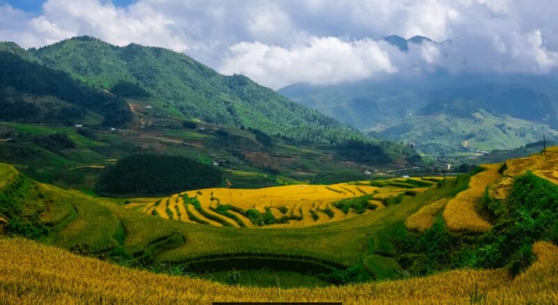 Sapa beautiful rice field, village - Easy walking kid,senior - Who Is This Tour Best For?