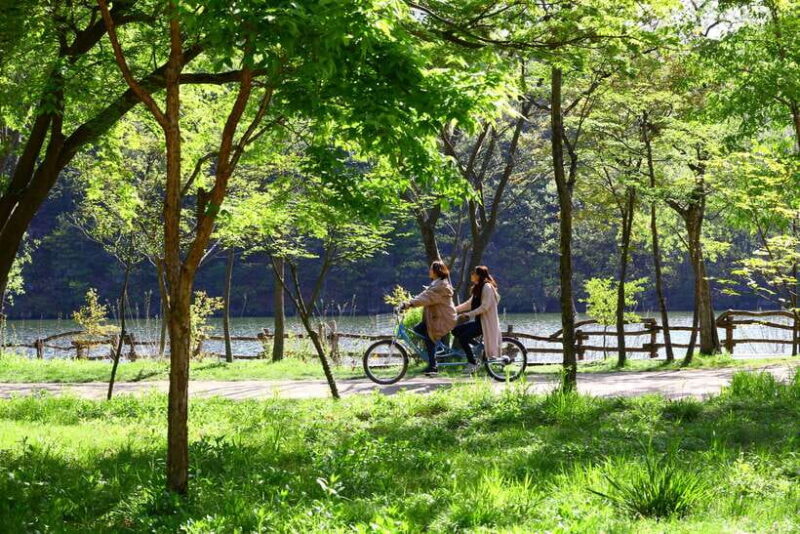 Seoul: Alpaca World & Nami Island (+Gangchon Railbike) - FAQs