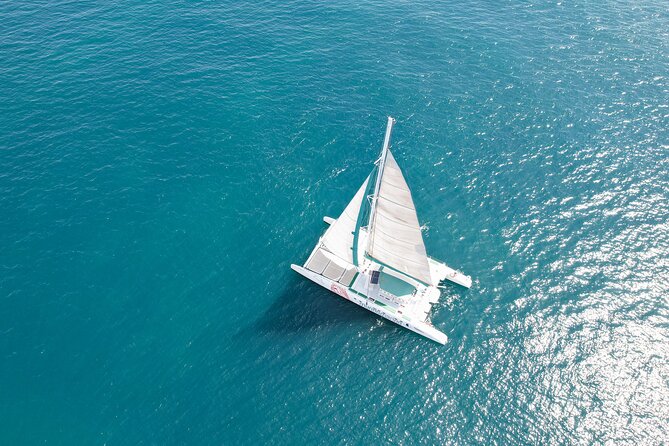 A day at Sea aboard Mundo Marino Catamaran in Valencia - Real-Life Insights from Reviews